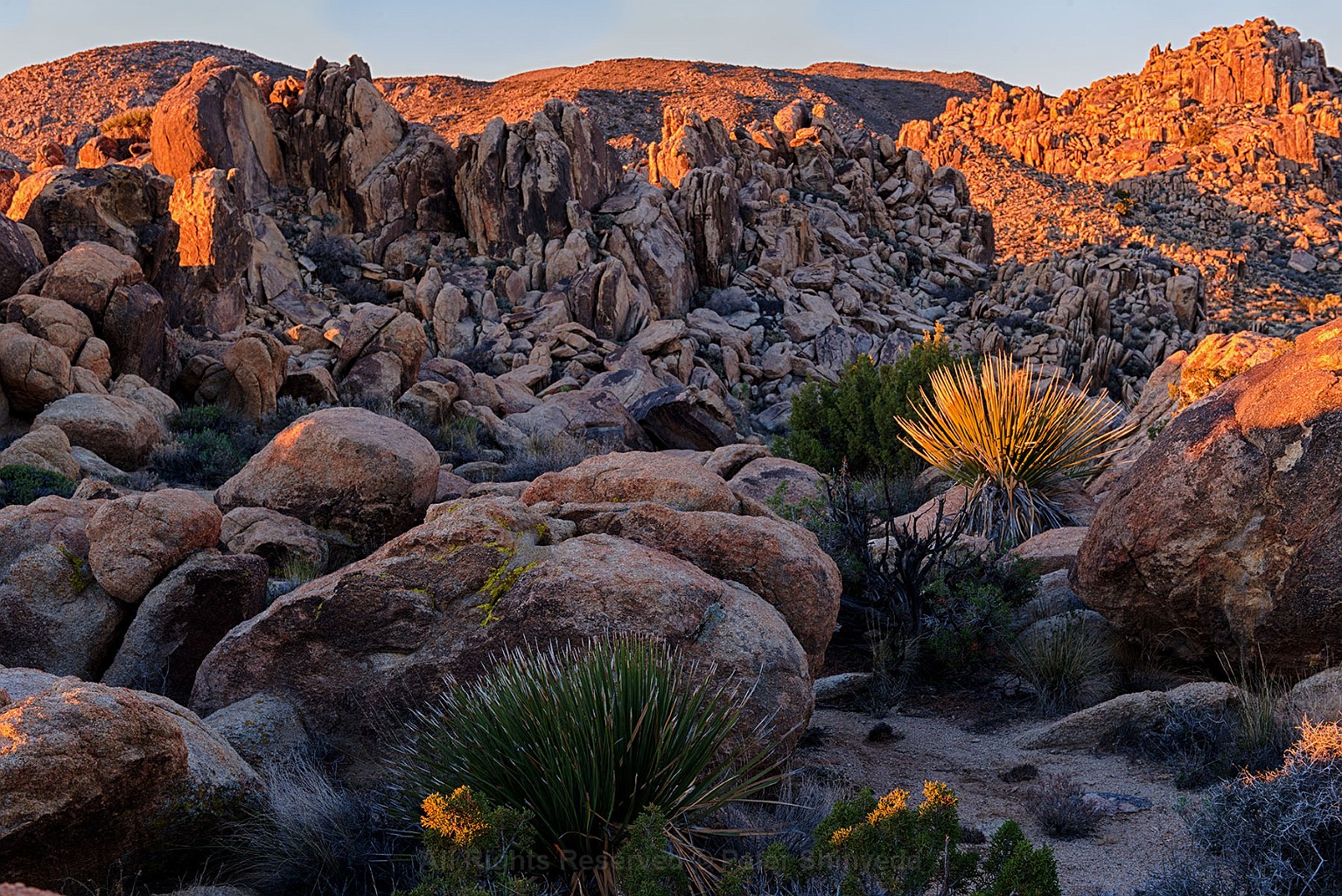 California - Death Valley, Joshua Tree and others, Feb 2016