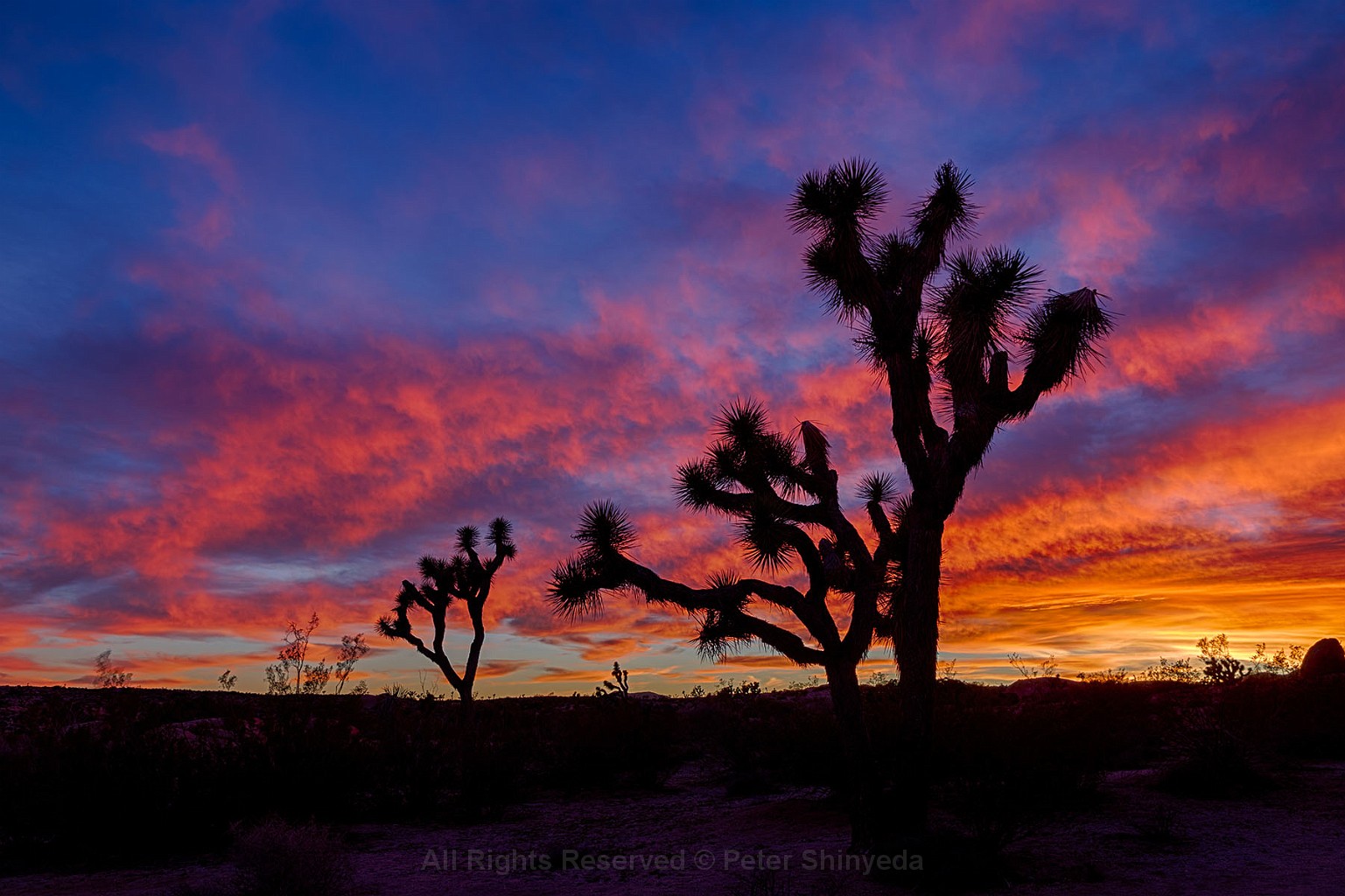 California - Death Valley, Joshua Tree and others, Feb 2016